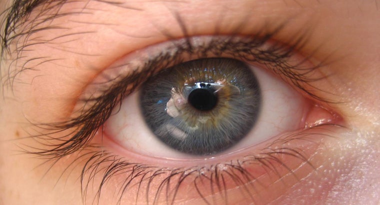 How Rare Are Gray Eyes? | Reference.com